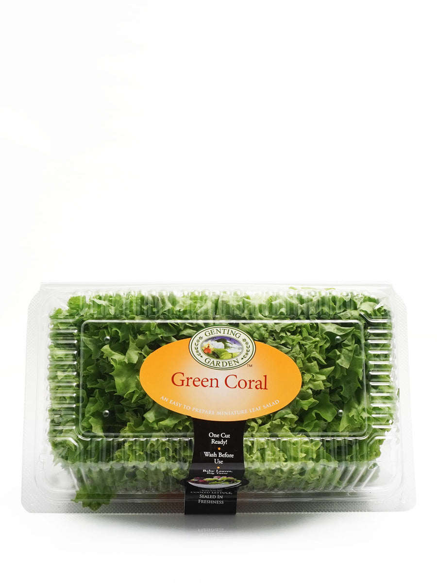 GG GREEN CORAL LETTUCE PKT – Village Grocer - KL Gateway Mall